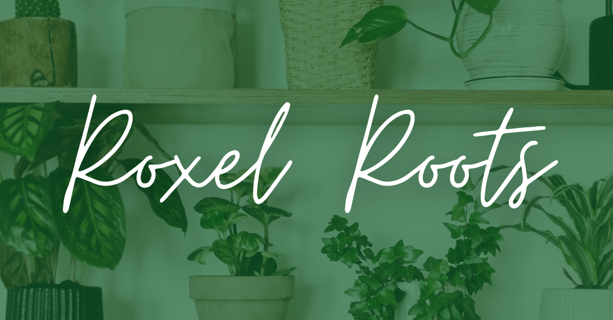 Indoor House Plants for Sale - Roxel Roots